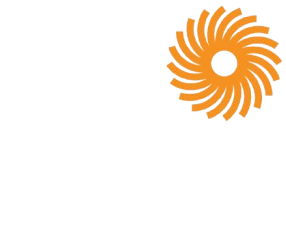 B20 Global Institute